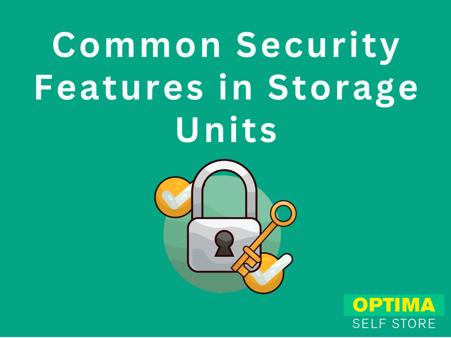 What are common security features in storage units